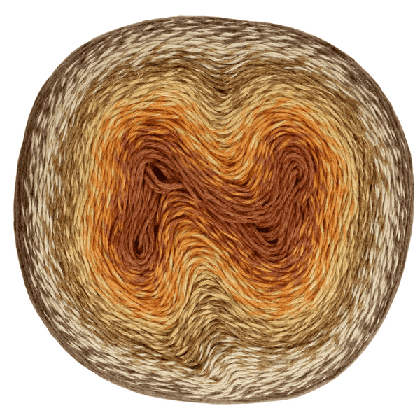 Scheepjes Woolly Whirl - 20% off – Little Yarn Co